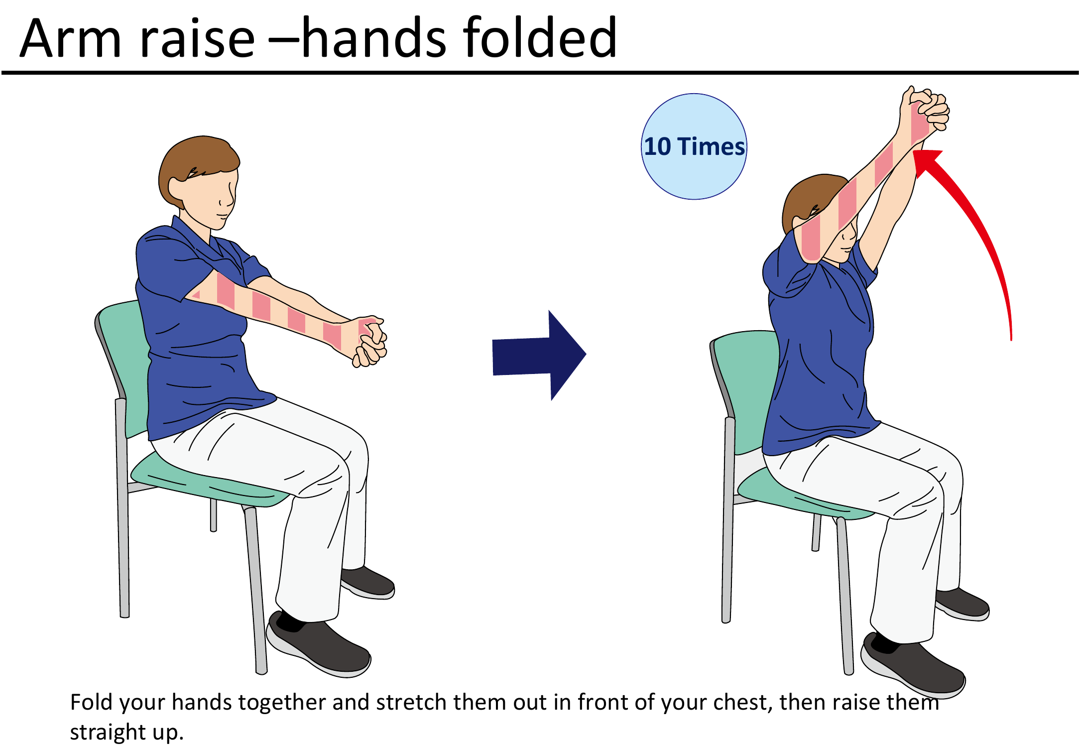 Shaker Movement | Physio Visuals: Illustrated Exercise, Stretching, and ...