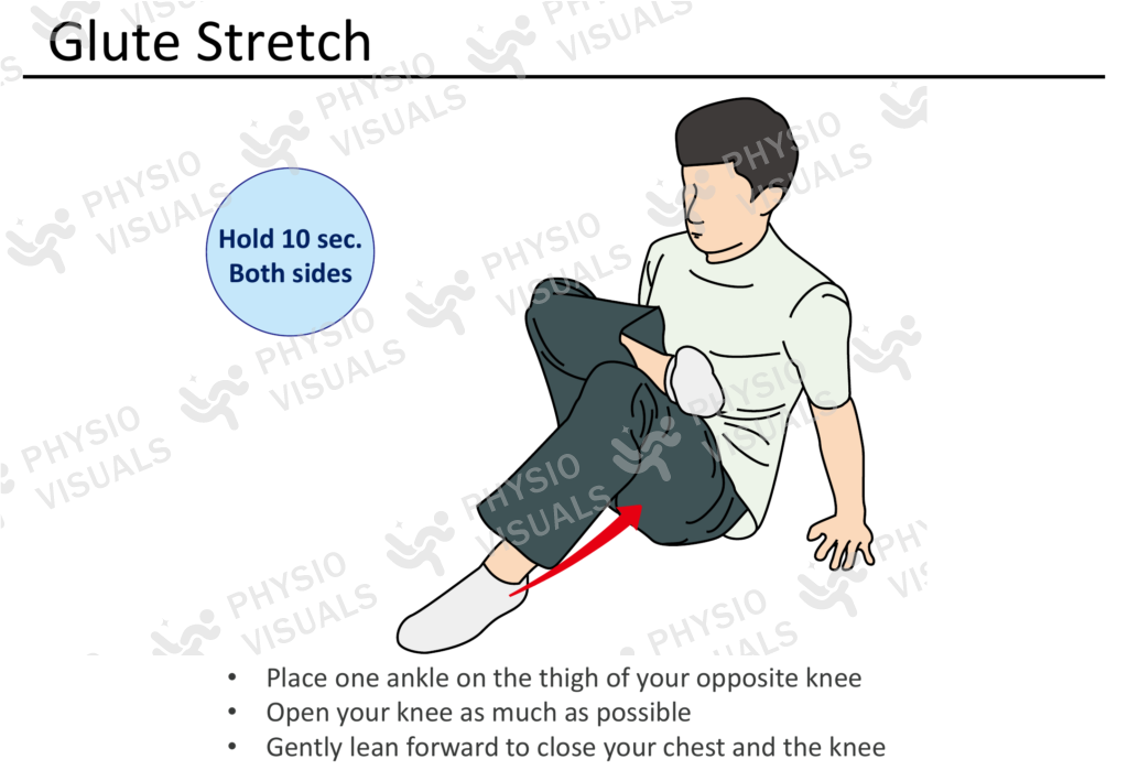 Glute Stretch (Sitting on the floor with crossed legs） | Physio Visuals ...