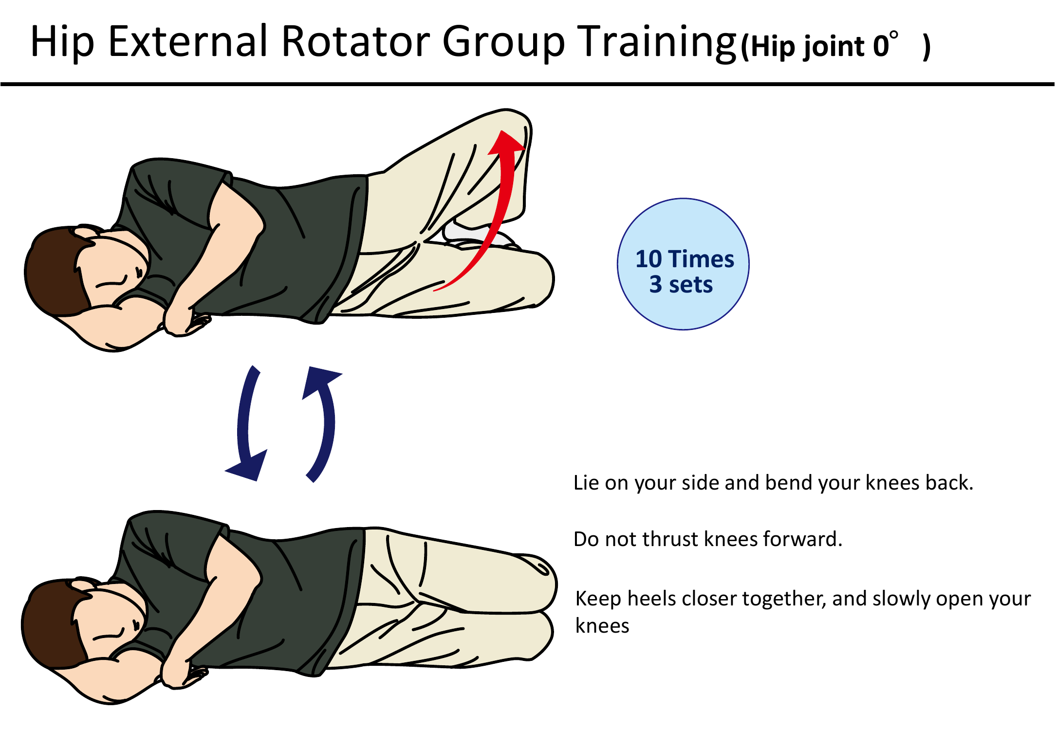 Shaker Movement | Physio Visuals: Illustrated Exercise, Stretching, and ...